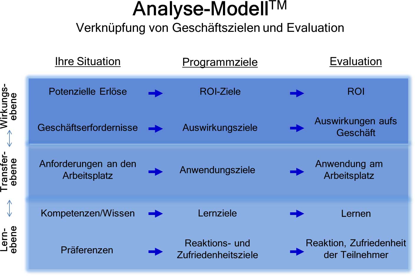 Consulting - LearnVision - Your strategy implementer